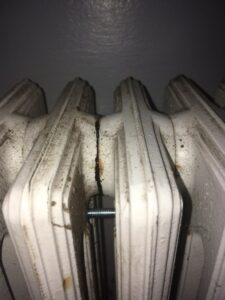 4 Items Common in Freeze Damage Claims - Alpine Intel